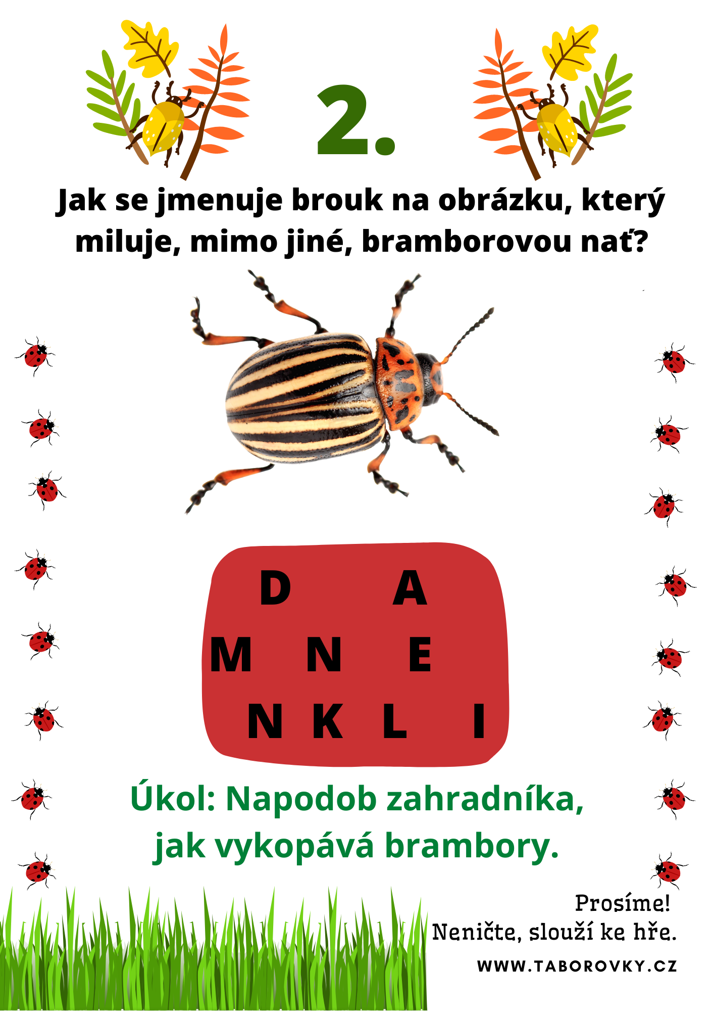 Stezka - brouci - Nezařazené k předmětu | UčiteléUčitelům.cz