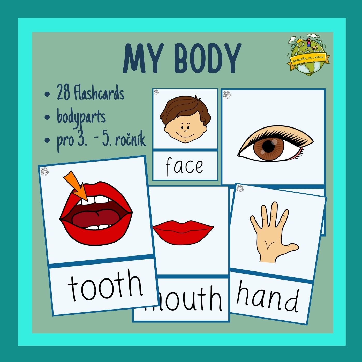 My body (bodyparts) flashcards - Anglický jazyk | UčiteléUčitelům.cz