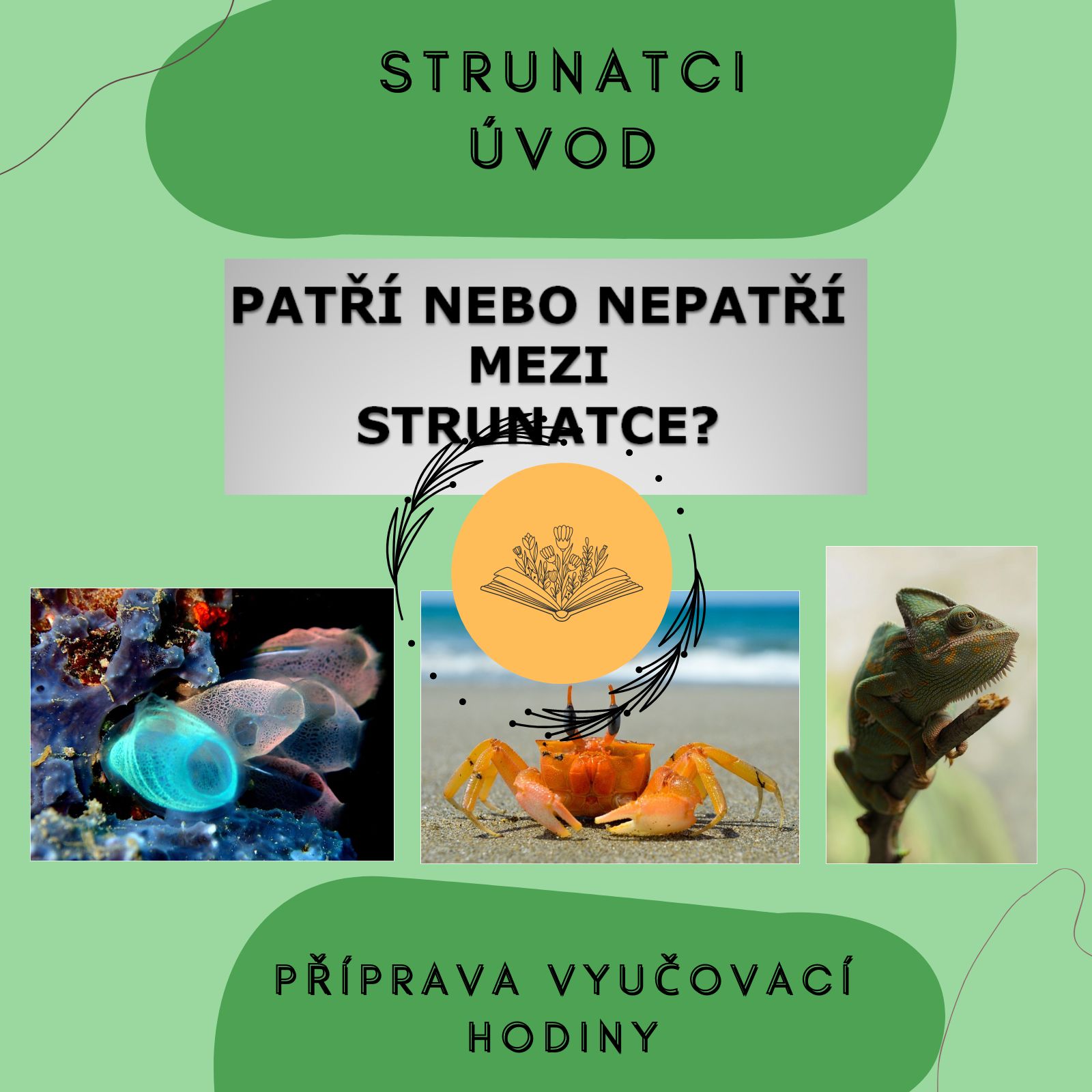 Plán vyučovací hodiny - Strunatci - úvod - Biologie | UčiteléUčitelům.cz
