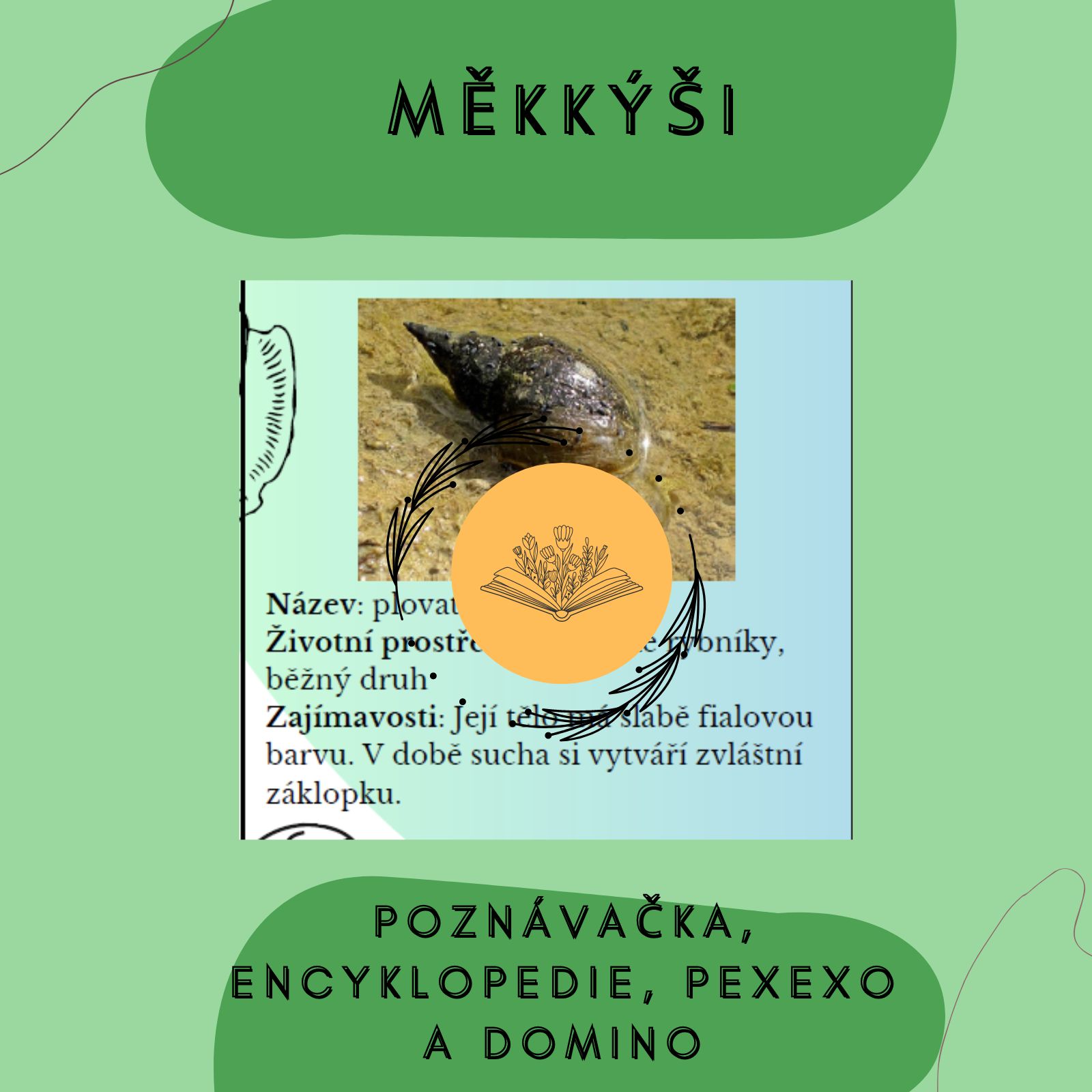 Měkkýši – encyklopedie, poznávačka, pexeso a domino - Biologie ...