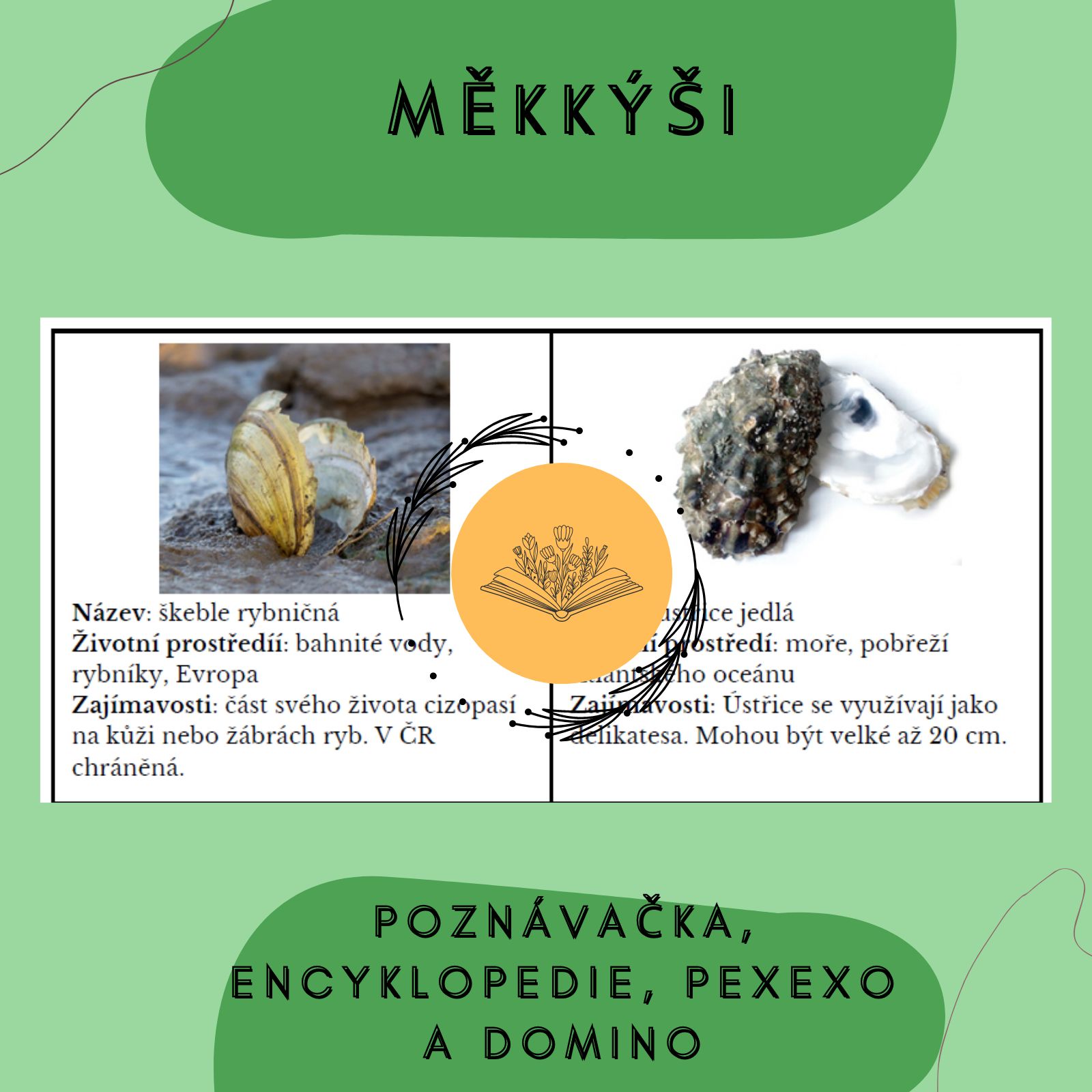 Měkkýši – encyklopedie, poznávačka, pexeso a domino - Biologie ...