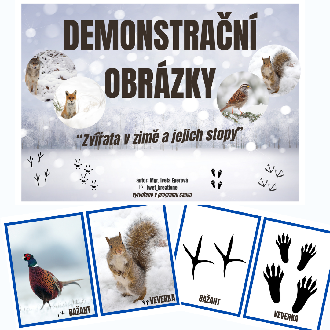 Zvířata v zimě a jejich stopy - demonstrační obrázky - Nezařazené k ...