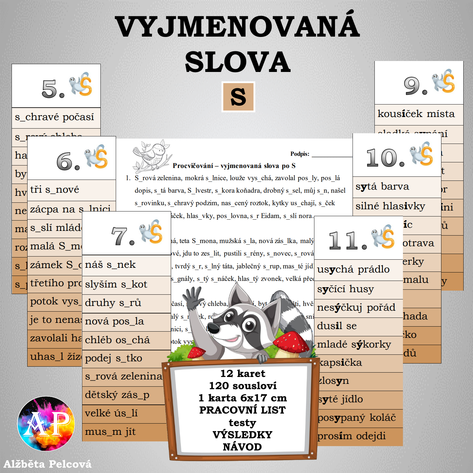 VYJMENOVANÁ SLOVA PO S (bez chytáků) - Český jazyk - gramatika ...