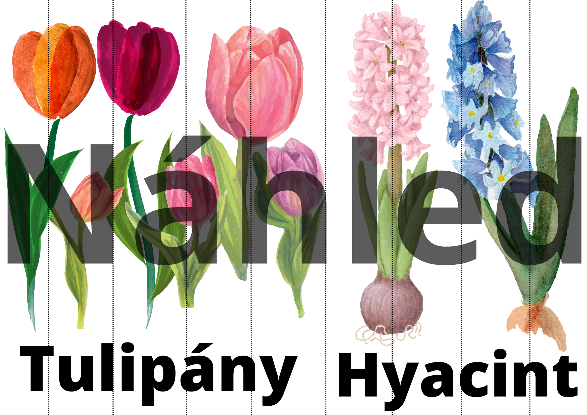 Jarní květiny - puzzle + pomíchané názvy květin - Český jazyk ...