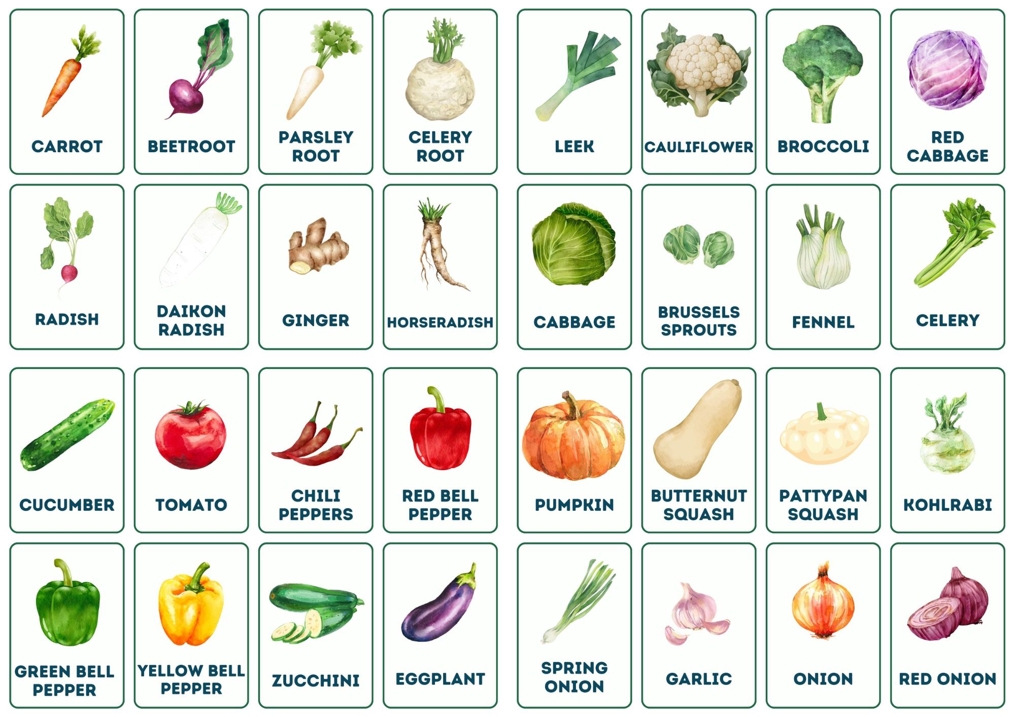 VEGETABLES - English flash cards - Anglický jazyk | UčiteléUčitelům.cz