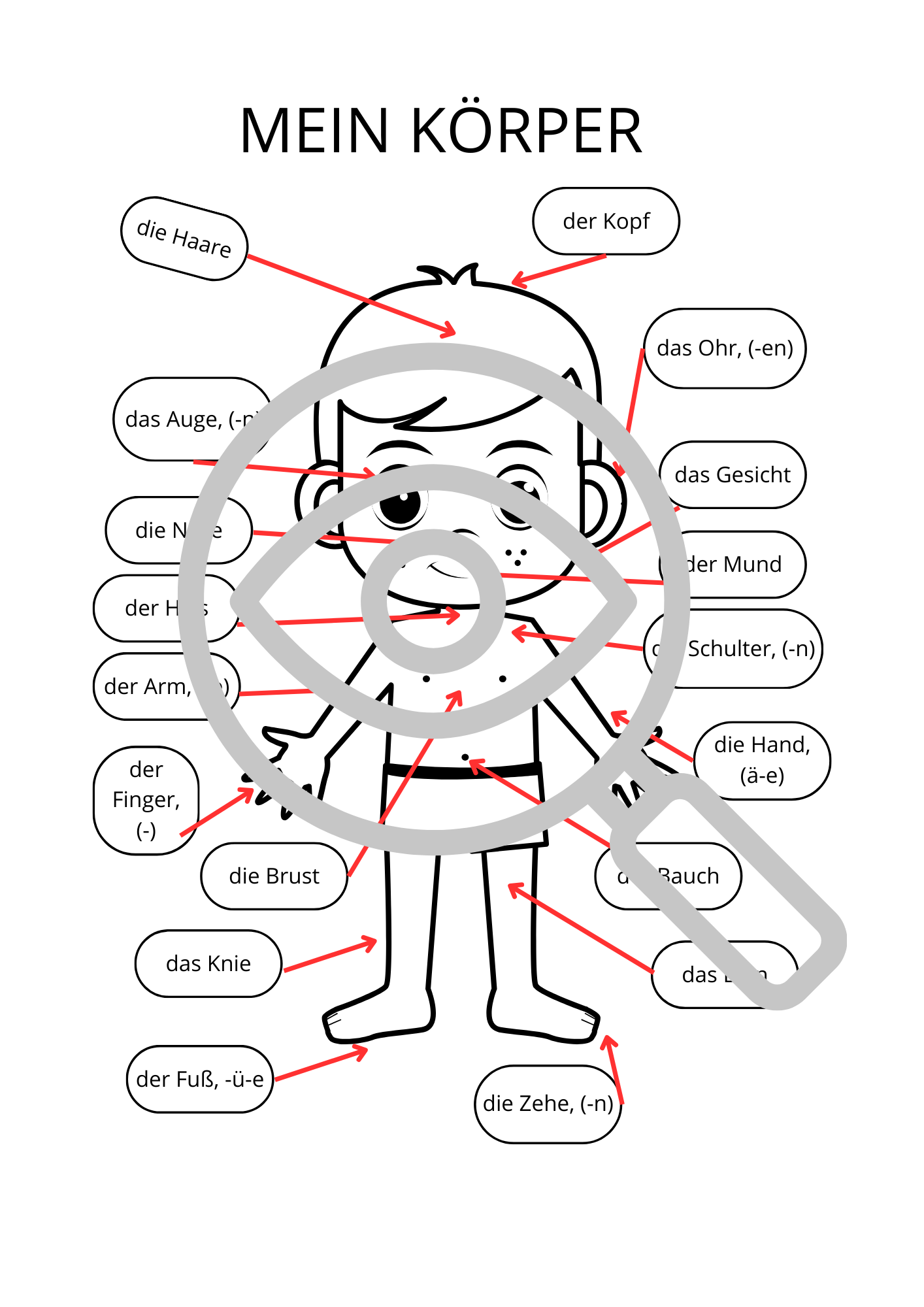 Mein Körper DEUTSCH Doplň části těla Pracovní list - Německý jazyk ...