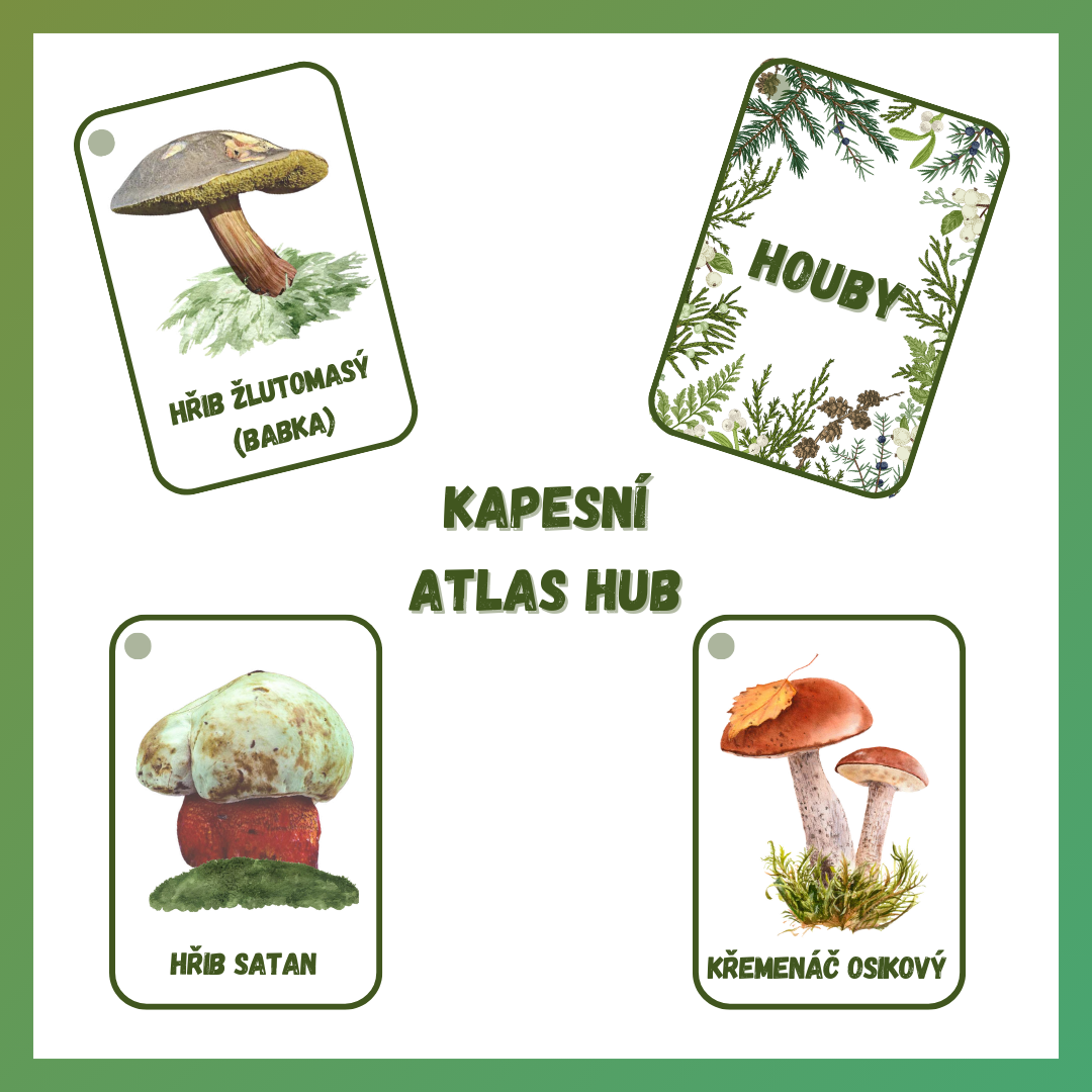 Houby - demonstrační karty a atlas do kapsy - Přírodověda ...