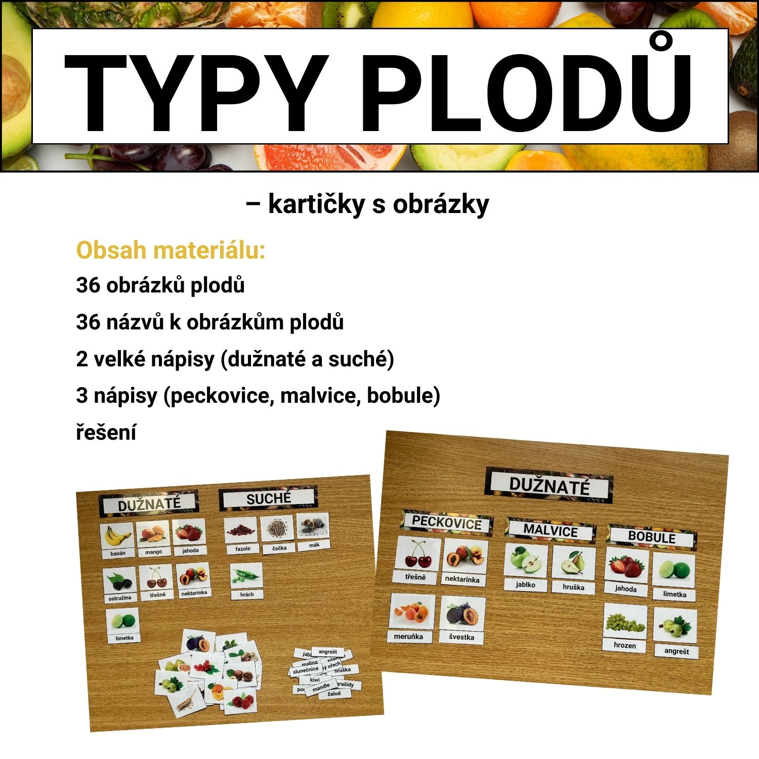 TYPY PLODŮ - kartičky s obrázky - Přírodověda | UčiteléUčitelům.cz