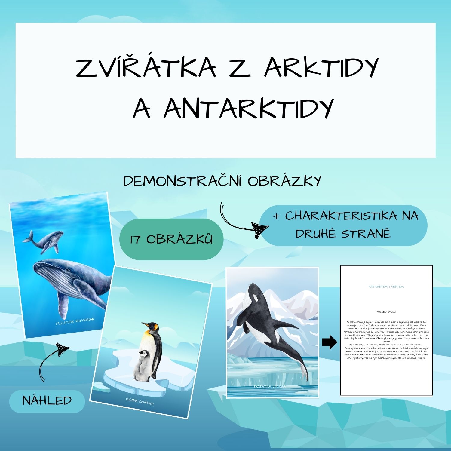 Zvířátka z Arktidy a Antarktidy - Nezařazené k předmětu ...