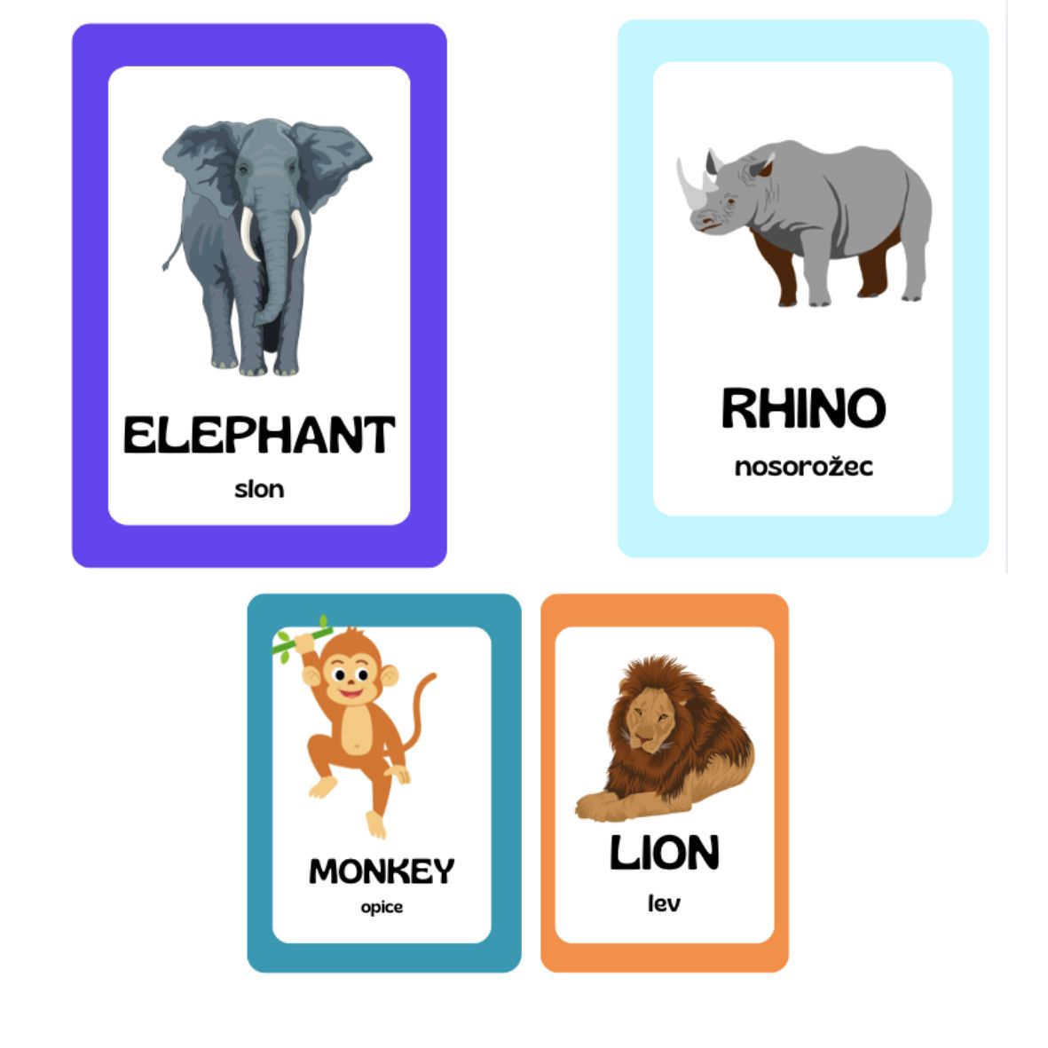 Flash cards - exotická zvířata - Anglický jazyk | UčiteléUčitelům.cz