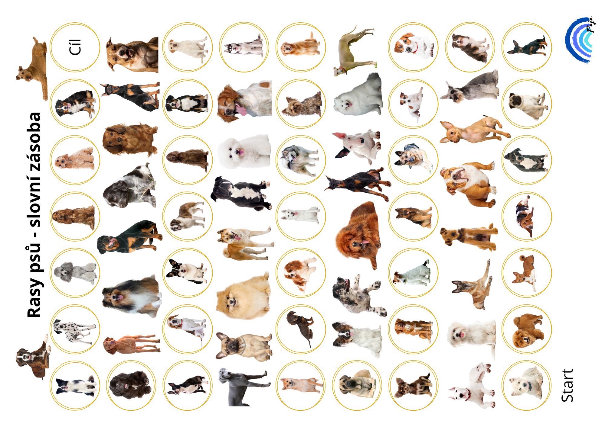 Rasy psů - Přírodověda | UčiteléUčitelům.cz