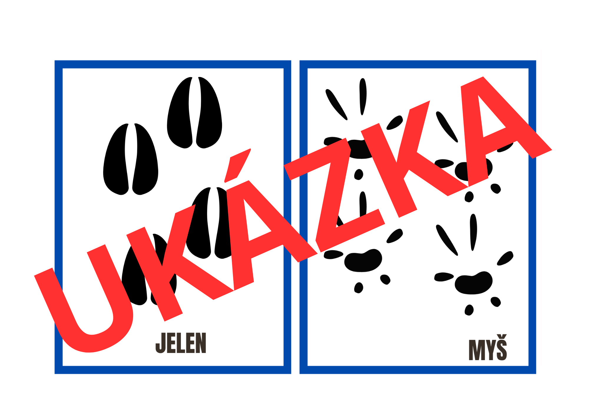 Zvířata v zimě a jejich stopy - demonstrační obrázky - Nezařazené k ...