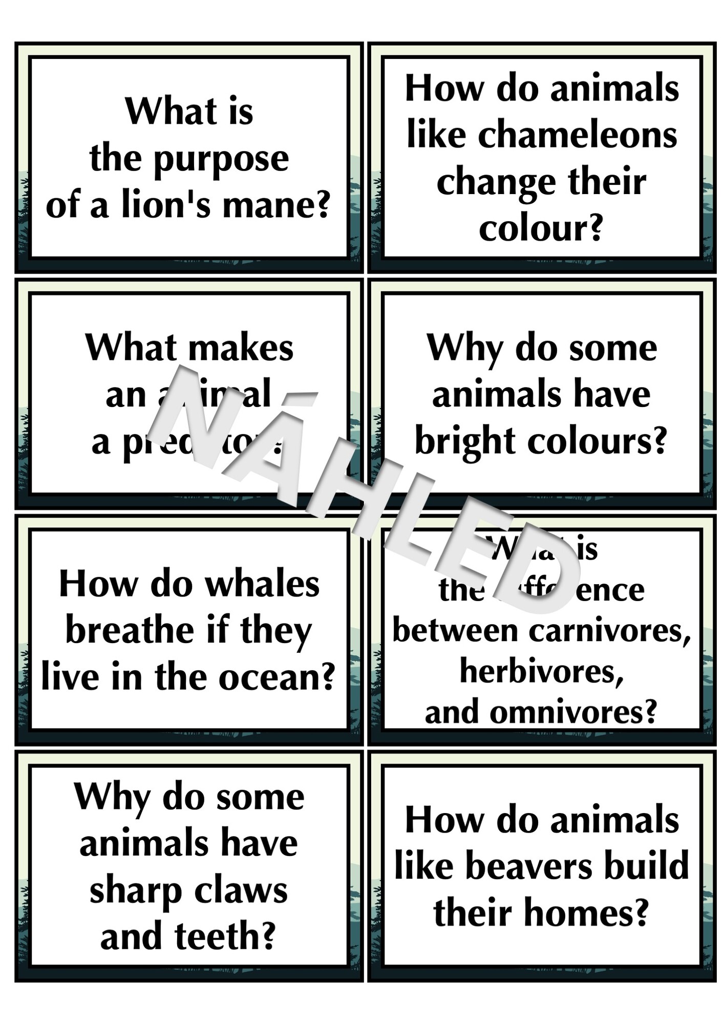 Rapid Fire Questions - Animals (B2) - Anglický jazyk | UčiteléUčitelům.cz