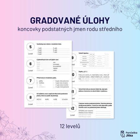 GRADOVANÉ ÚLOHY - koncovky podstatných jmen rodu středního - Český ...