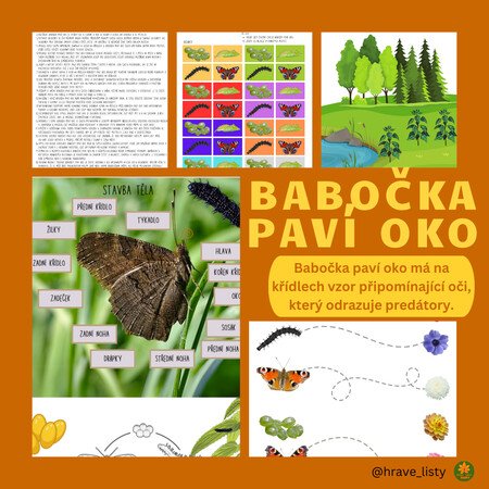 Babočka paví oko - Biologie | UčiteléUčitelům.cz