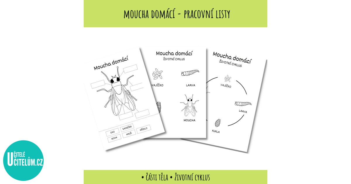 Moucha domácí - pracovní listy - Biologie | UčiteléUčitelům.cz