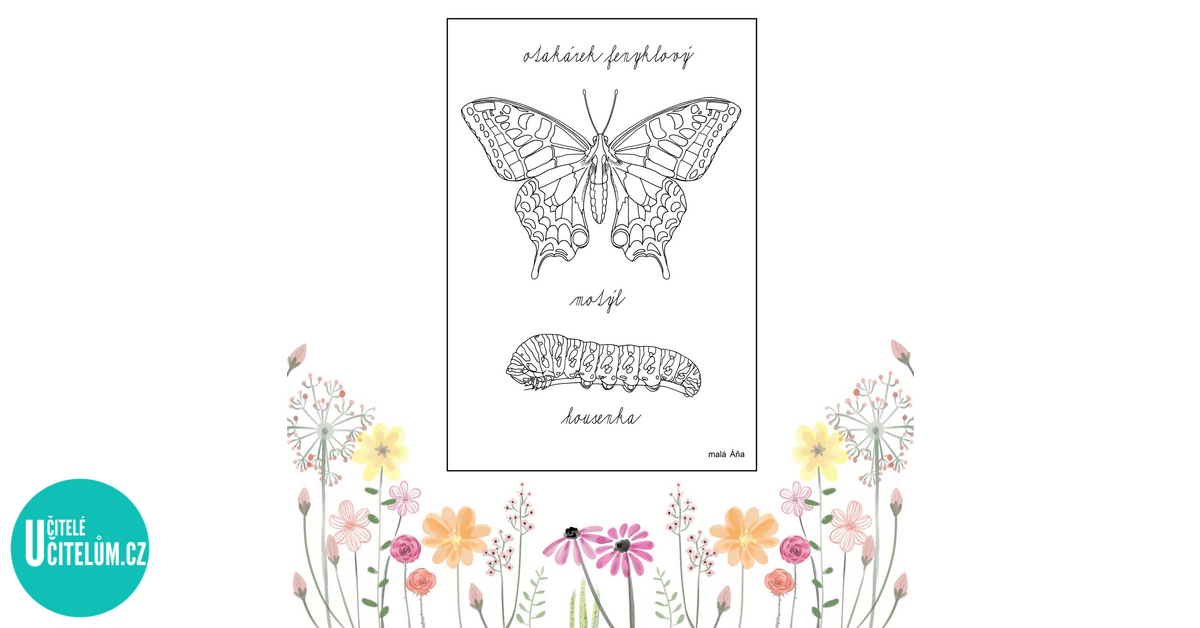 OMALOVÁNKA MOTÝLEK - Přírodověda | UčiteléUčitelům.cz