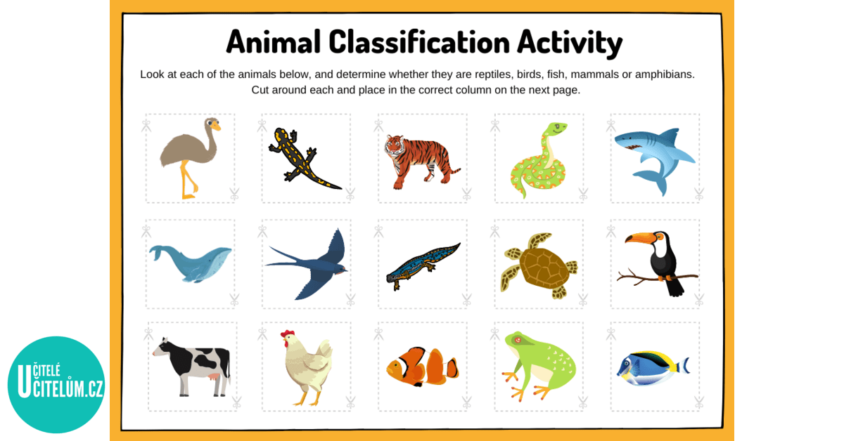 CLIL - animal classification activity - CLIL | UčiteléUčitelům.cz