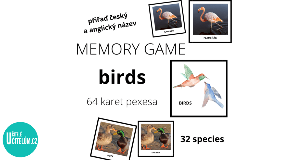 BIRDS - memory game (32 species) - Anglický jazyk | UčiteléUčitelům.cz