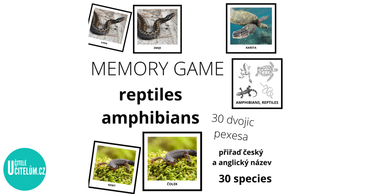AMPHIBIANS, REPTILES - memory game (30 species) - Biologie ...