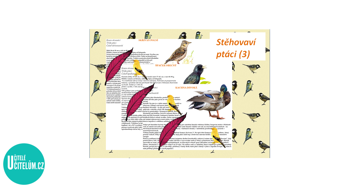 Stěhovaví ptáci (3) - Biologie | UčiteléUčitelům.cz