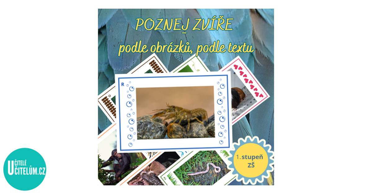 Poznej ZVÍŘE Z ŘEKY A RYBNÍKA - podle obrázků, podle textu - Český ...