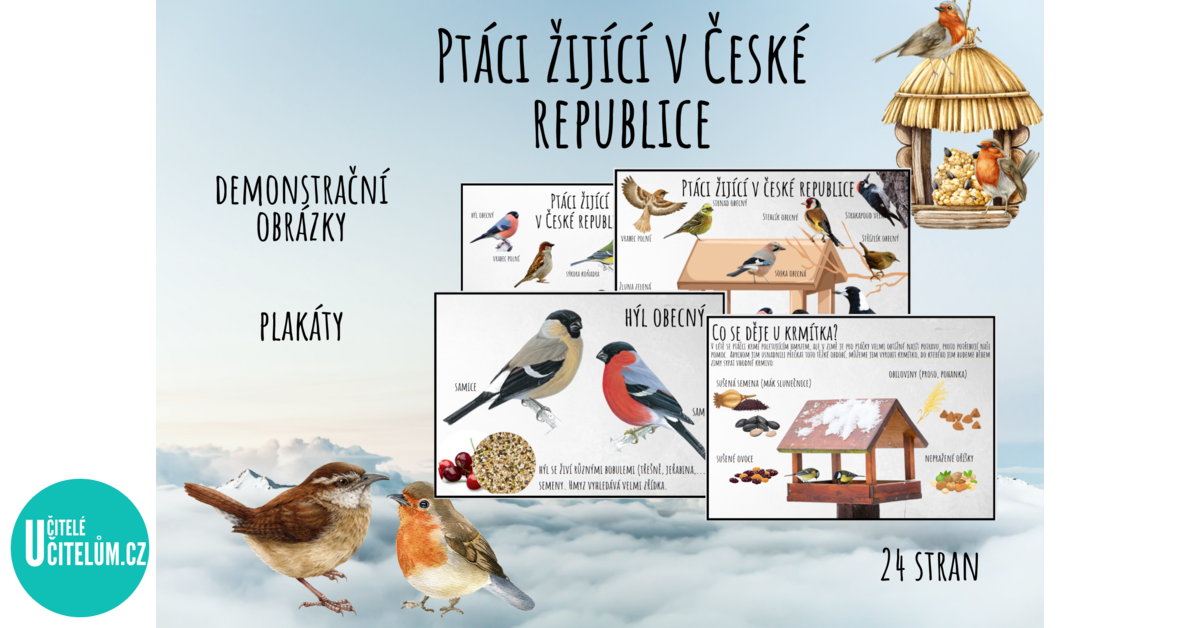 Ptáci v zimě, Ptáci žijící v České republice, Draví ptáci, Dravci ...