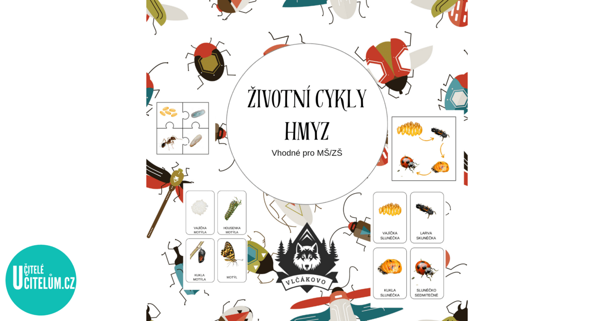 Hmyz - životní cyklus - Přírodověda | UčiteléUčitelům.cz