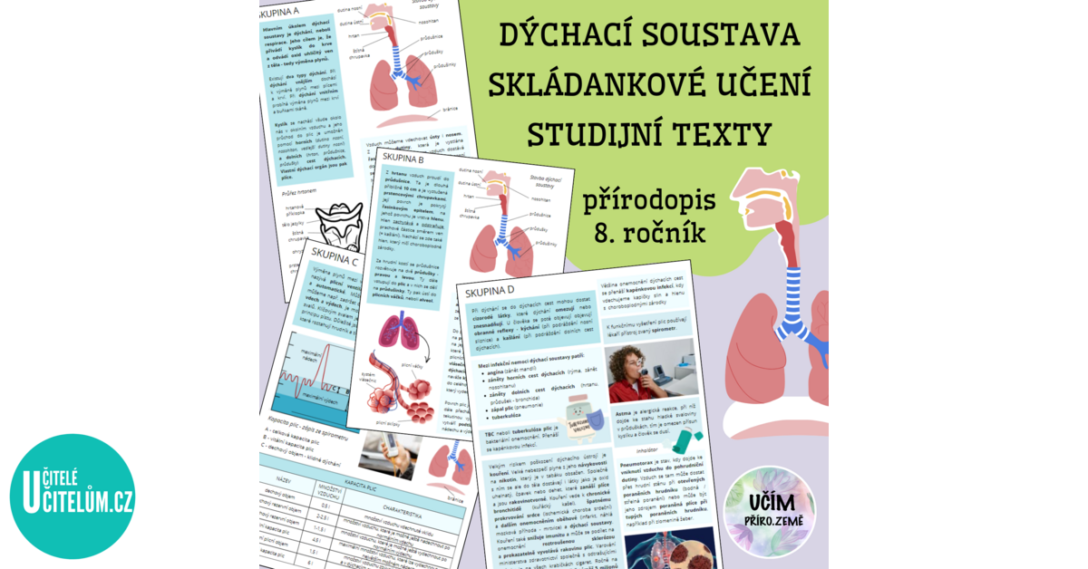Dýchací soustava - skládankové učení, výukové texty - Biologie ...