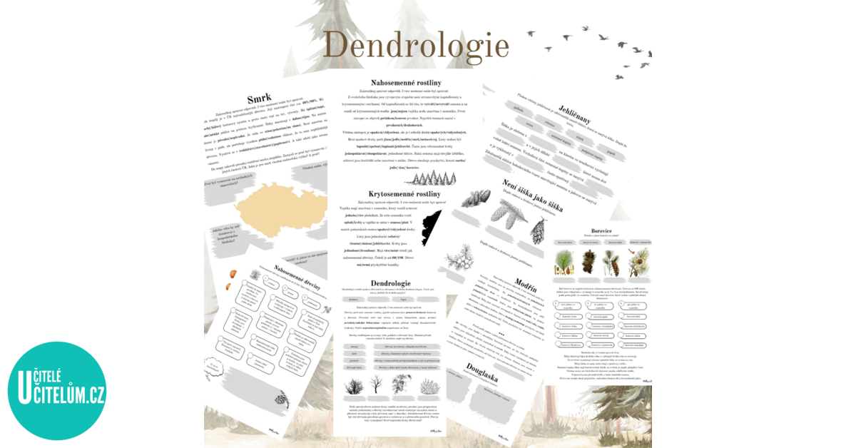 Dendrologie - krytosemenné a nahosemenné rostliny - Biologie | UčiteléUčitelům.cz
