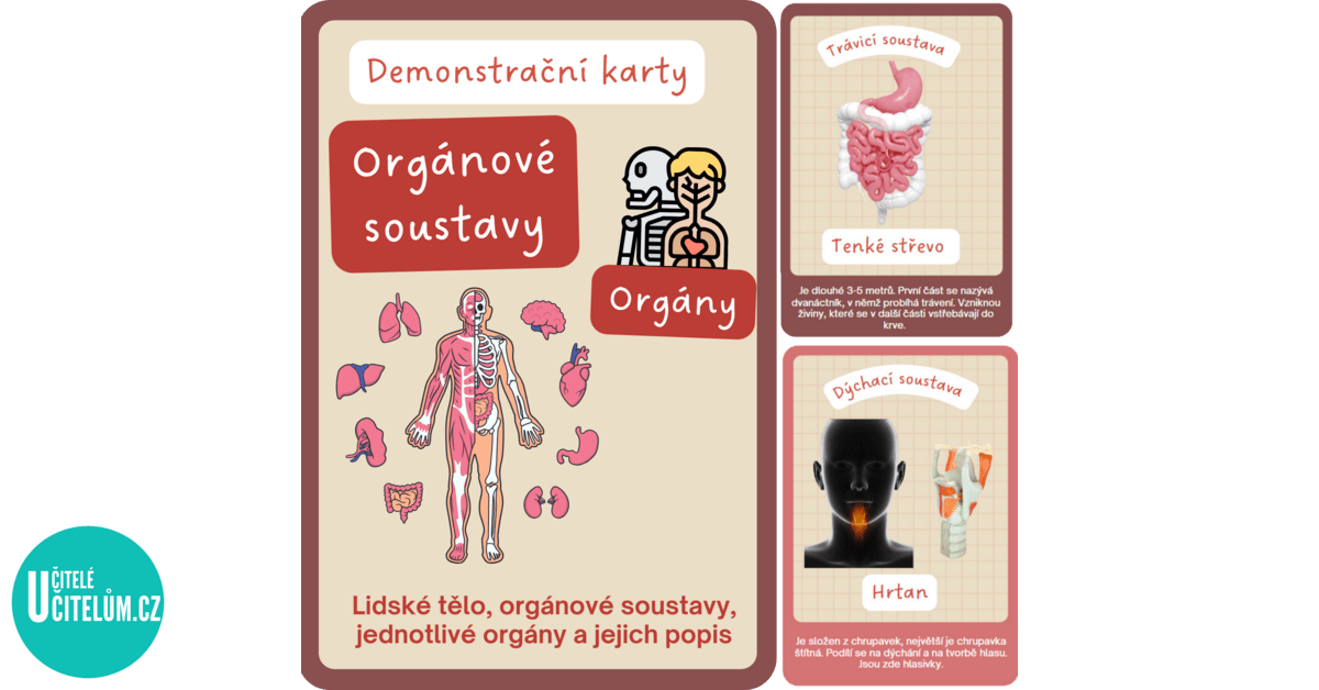 Lidské tělo - orgány - Biologie | UčiteléUčitelům.cz