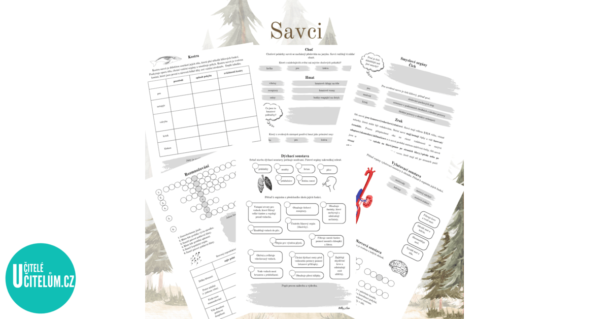 Savci - Biologie | UčiteléUčitelům.cz