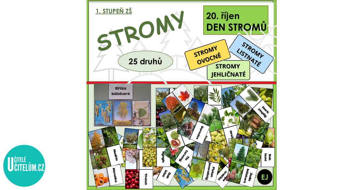 Stromy - Přírodověda | UčiteléUčitelům.cz