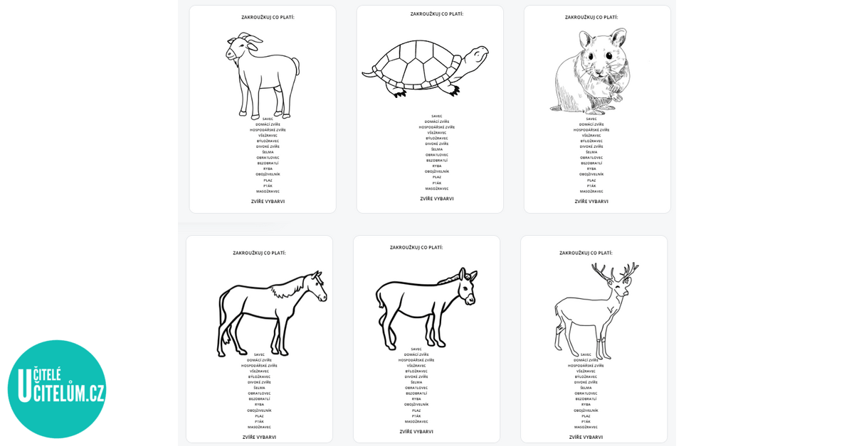Dělení živočichů - Přírodověda | UčiteléUčitelům.cz