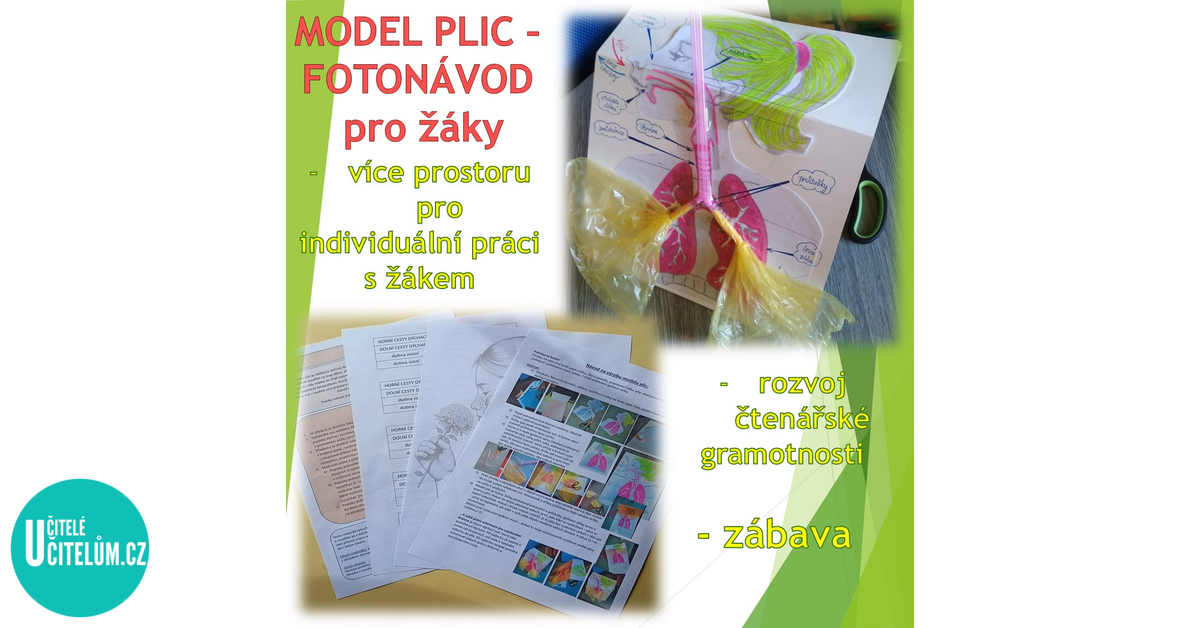 Model plic - fotonávod - Biologie | UčiteléUčitelům.cz