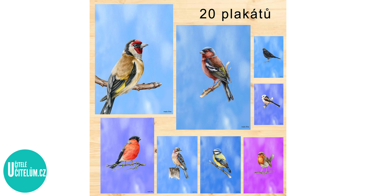 PTÁČCI PLAKÁTY - Logopedie | UčiteléUčitelům.cz