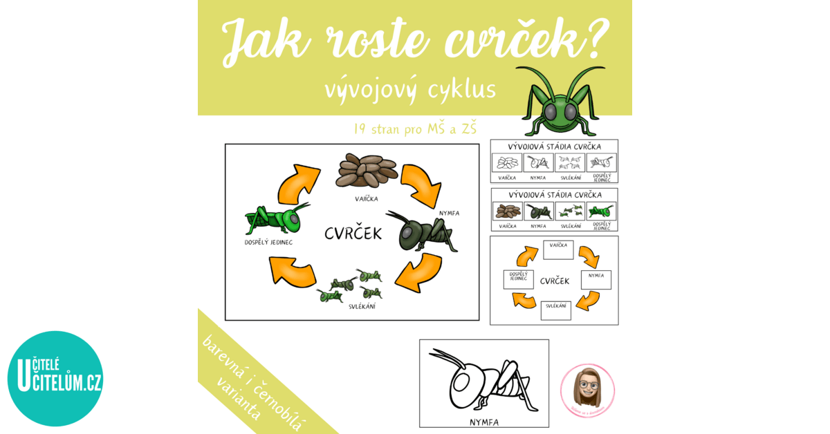 CVRČEK - vývojový cyklus - Přírodověda | UčiteléUčitelům.cz