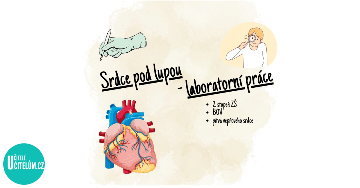 Srdce pod lupou - laboratorní práce - Biologie | UčiteléUčitelům.cz
