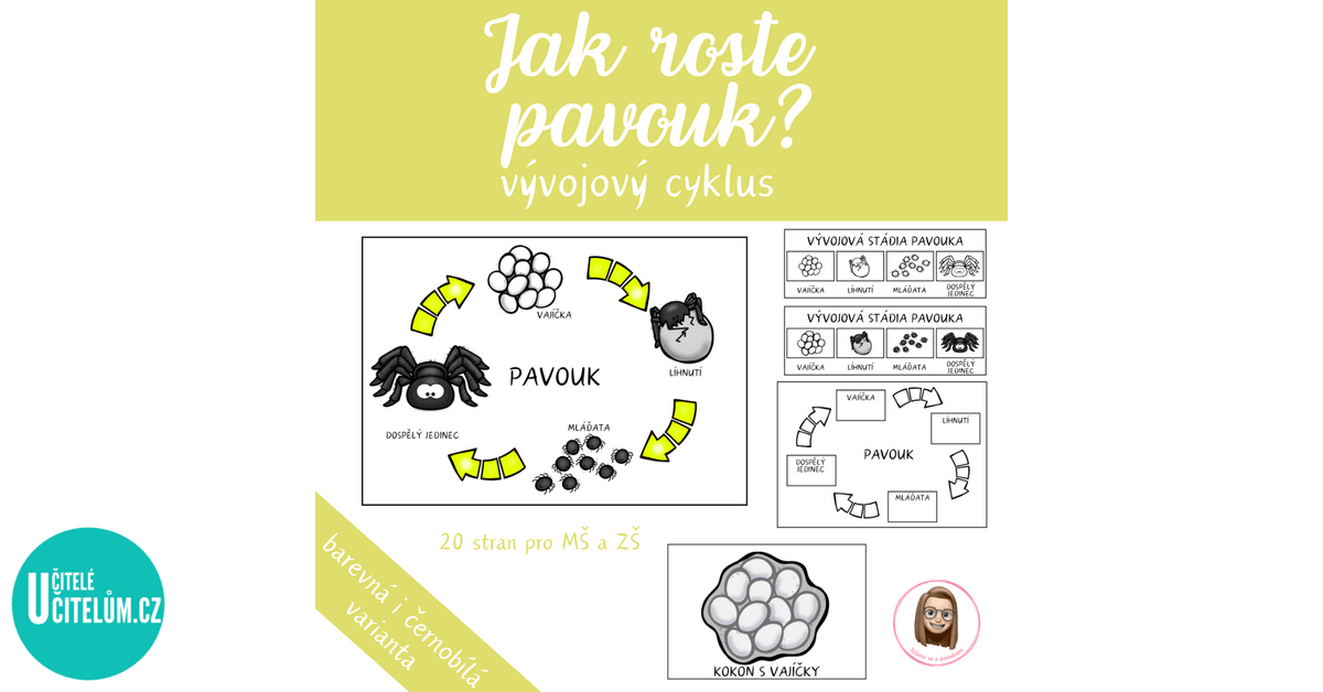 PAVOUK - vývojový cyklus - Přírodověda | UčiteléUčitelům.cz