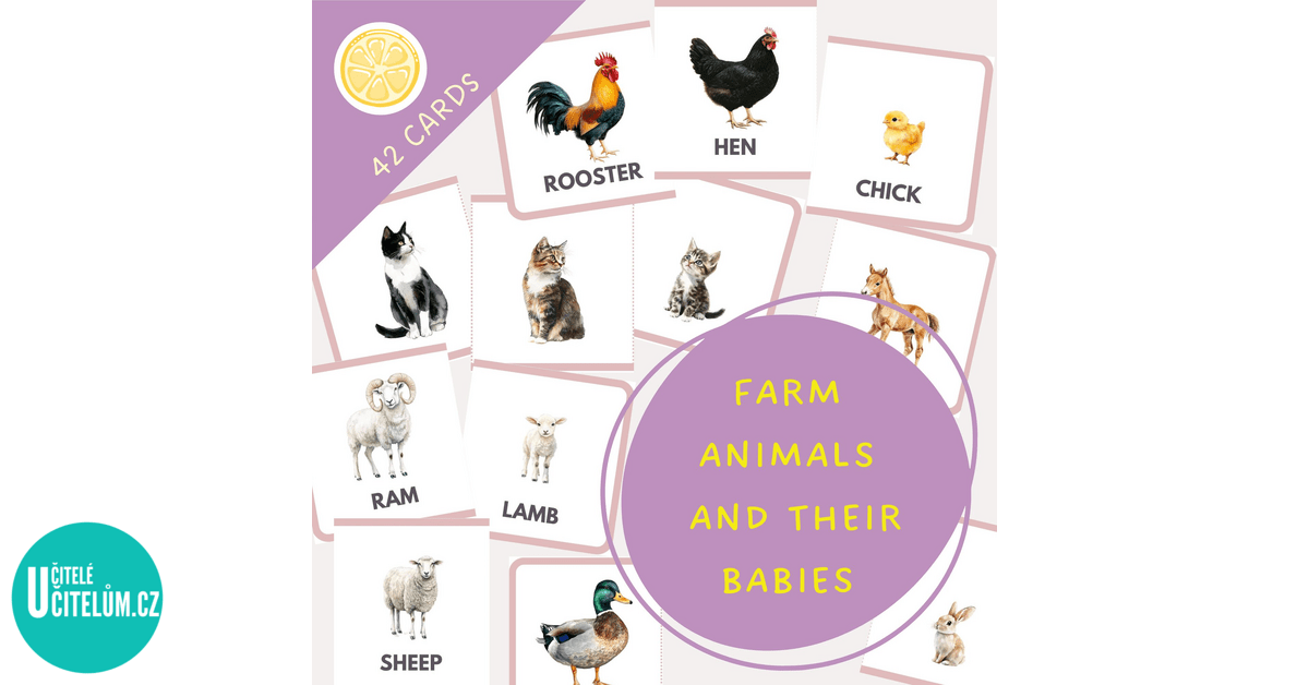 FARM ANIMALS AND THEIR BABIES - FLASHCARDS | obrázkové kartičky v ...