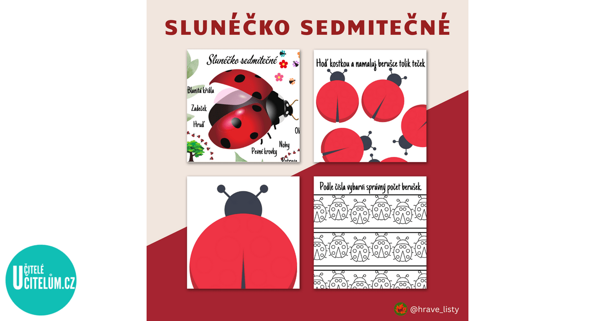Slunéčko sedmitečné - Biologie | UčiteléUčitelům.cz