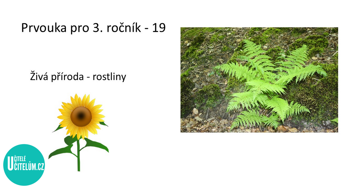 Prvouka pro 3. ročník - 19 - Prvouka | UčiteléUčitelům.cz