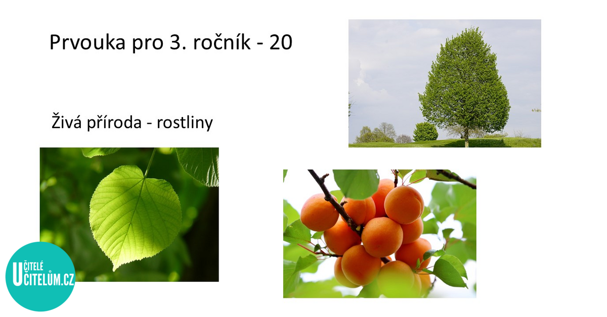 Prvouka pro 3. ročník - 20 - Prvouka | UčiteléUčitelům.cz