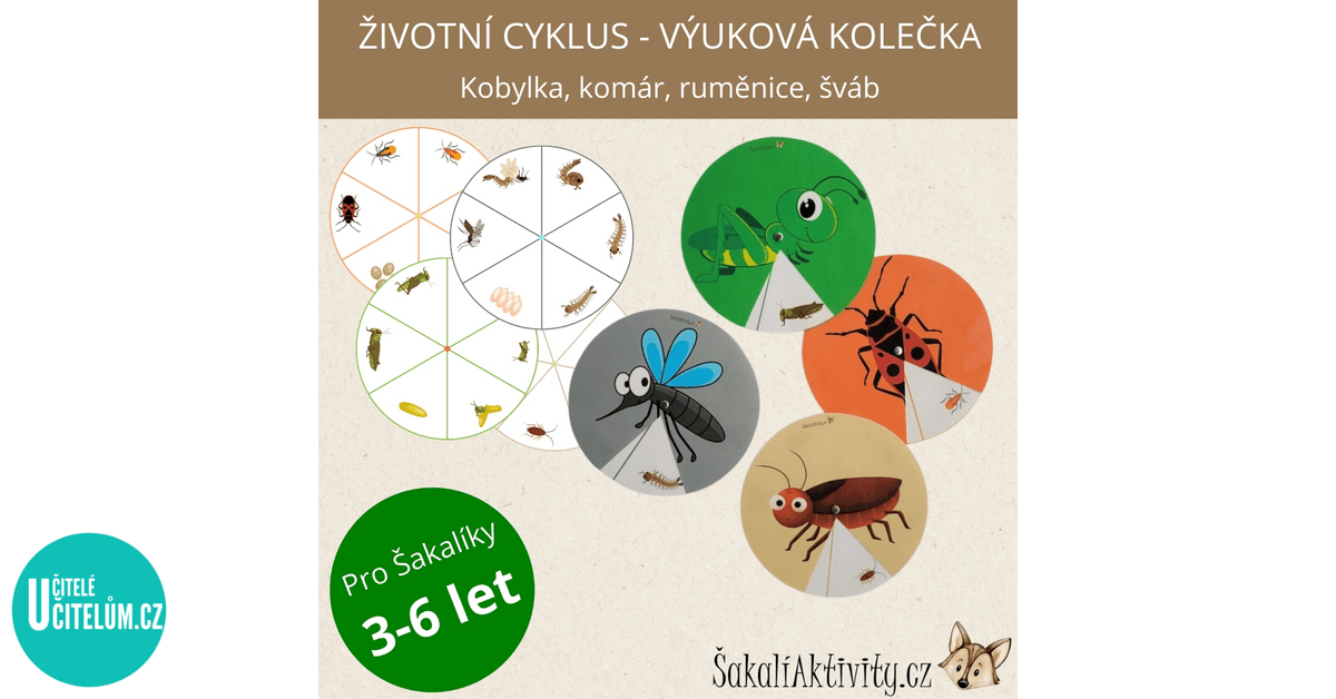 ŽIVOTNÍ CYKLUS - saranče, komár, ruměnice, šváb - Přírodověda ...