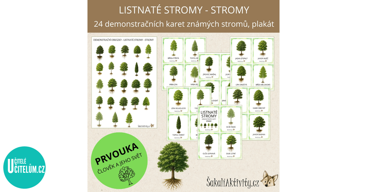 Listnaté stromy - stromy - demonstrační karty - Prvouka ...