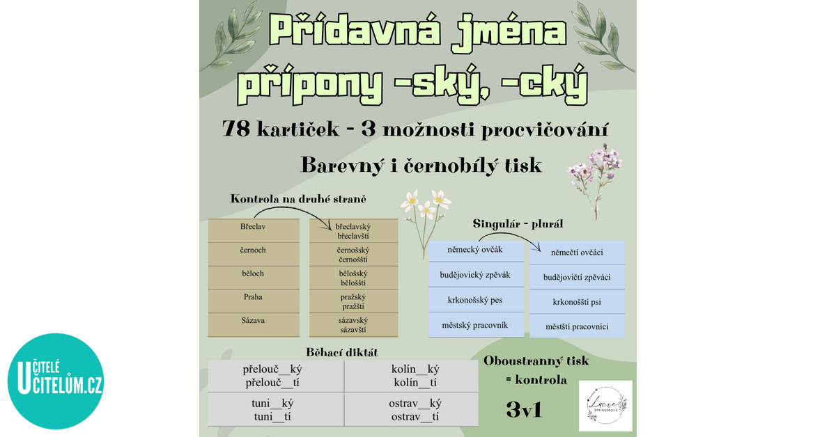 Přídavná jména - přípony (-ský/-ští, -cký/-čtí) - Český jazyk ...