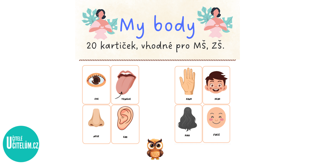My body - flashcards - Anglický jazyk | UčiteléUčitelům.cz