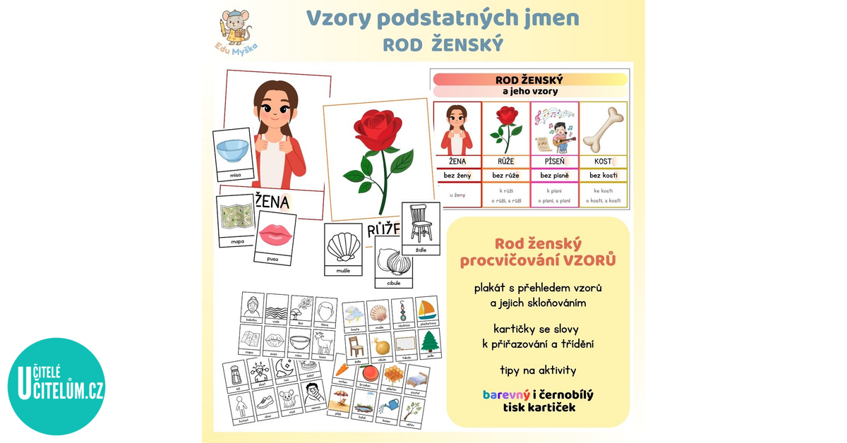 Vzory podstatných jmen - ROD ŽENSKÝ - Český jazyk - gramatika ...