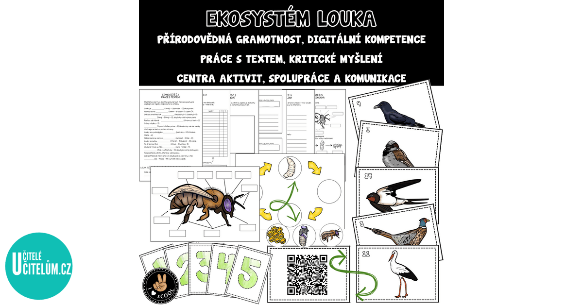 Ekosystém louka - Přírodověda | UčiteléUčitelům.cz
